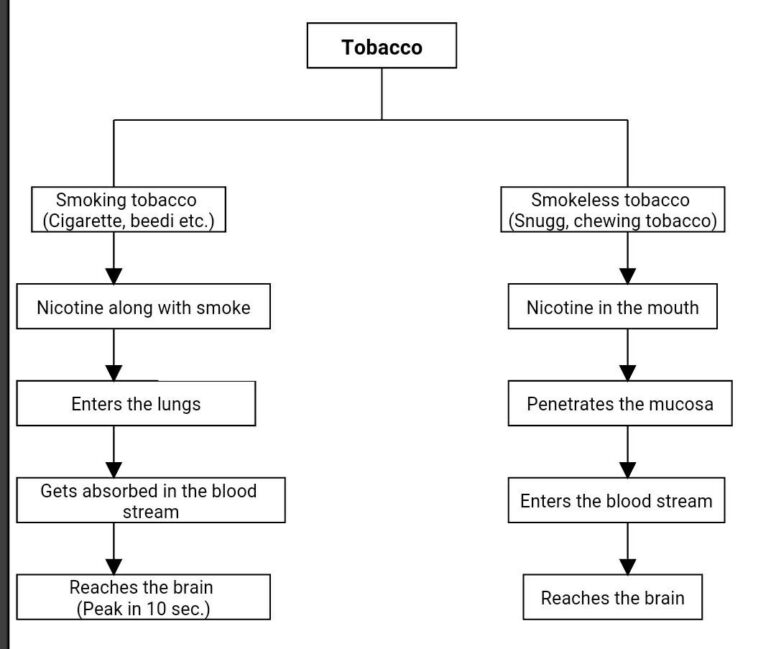 Tobacco - LetsGrowMore